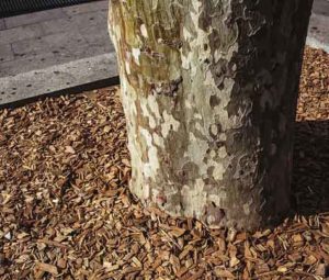 How To Mulch Your Gardens For Healthy And Beautiful Plants